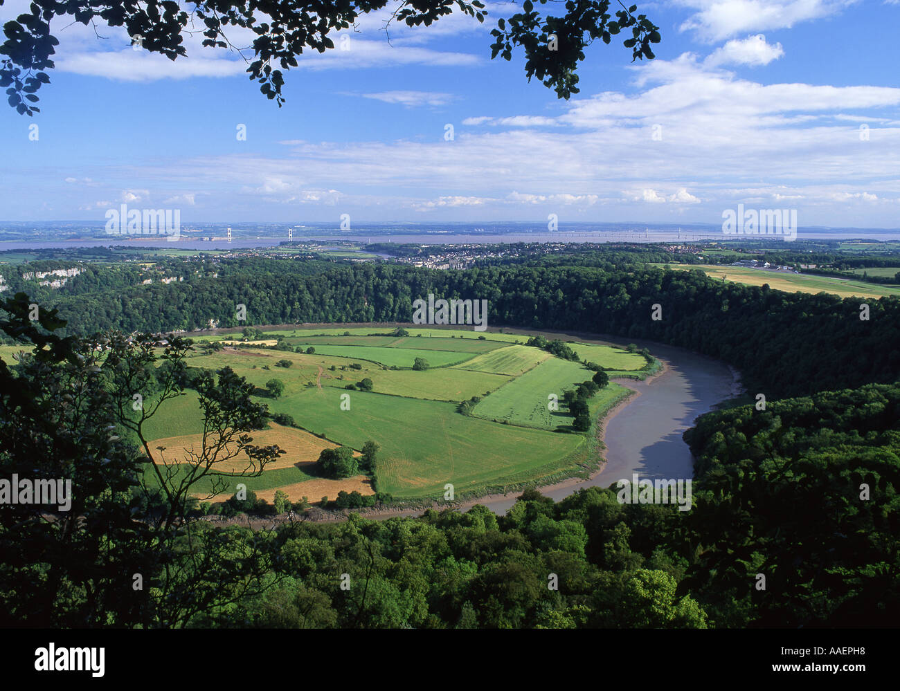 River Wye and Severn estuary from Eagles Nest Upper Wyndcliff Near St ...