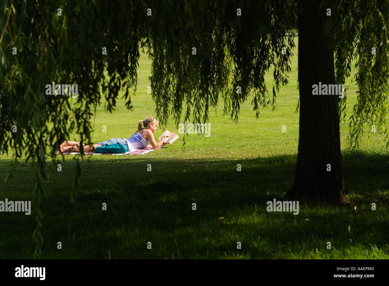 Young girl reading in the riverside park Stratford upon Avon UK June ...