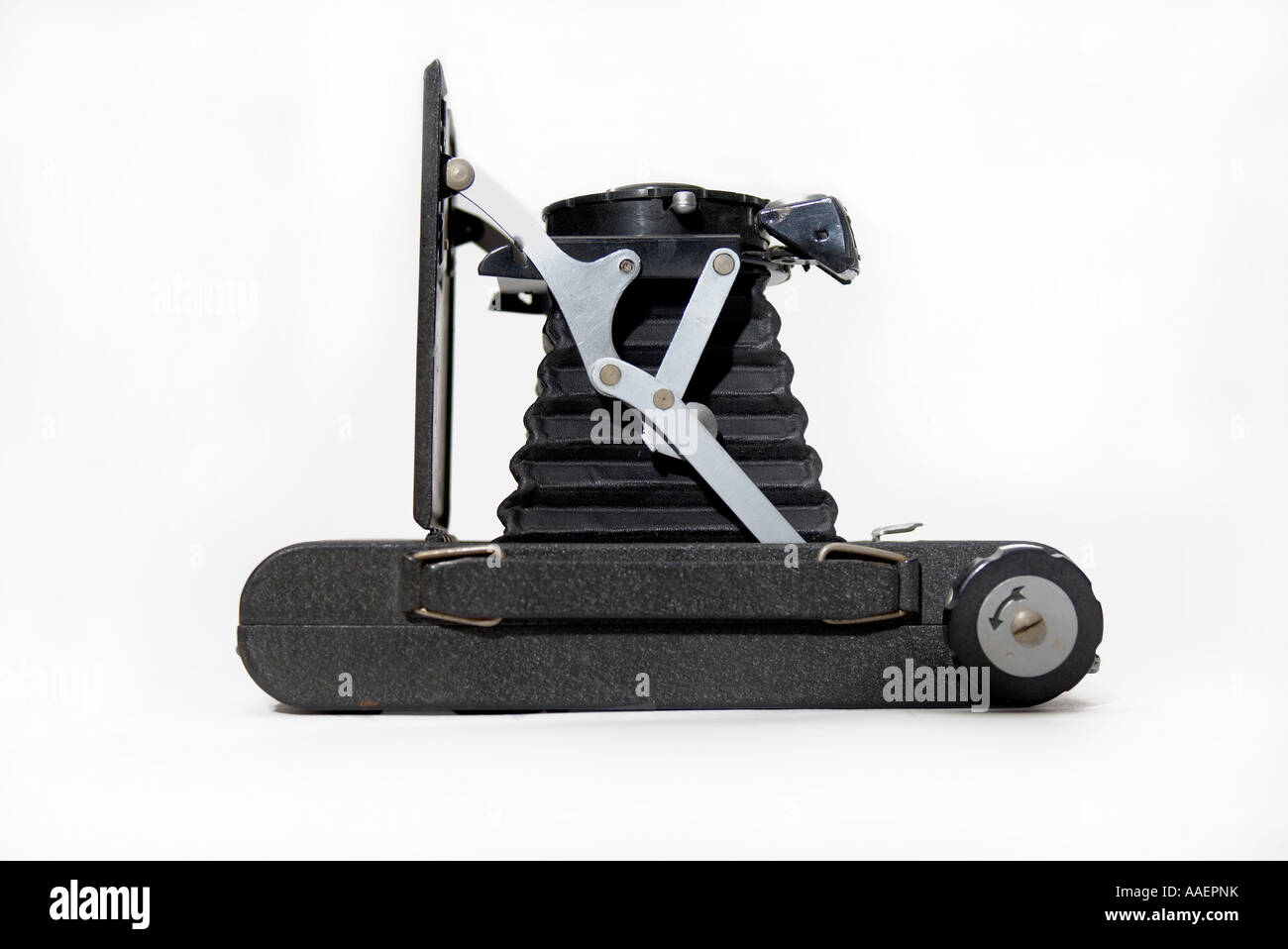 Old miniature bellows camera Stock Photo - Alamy