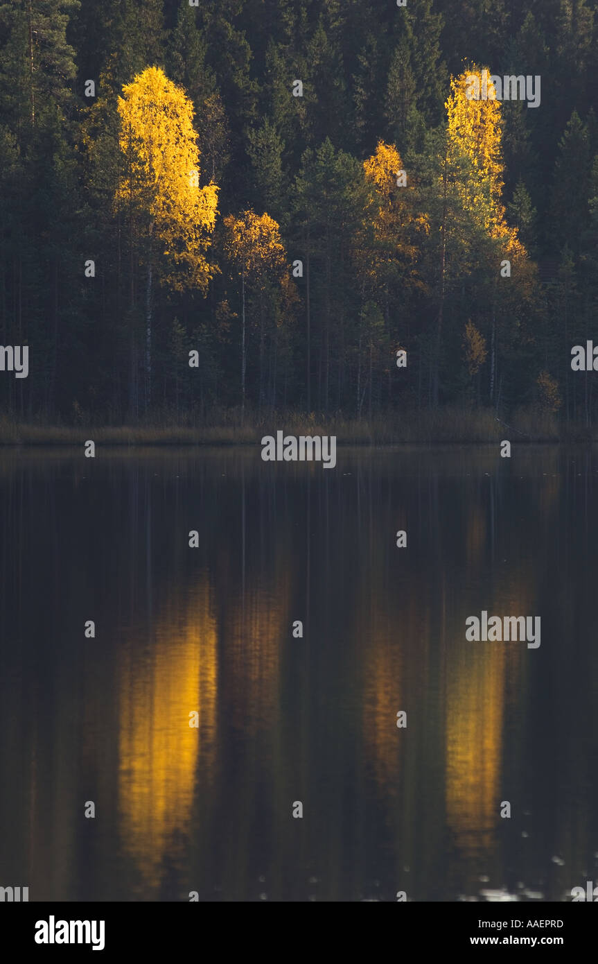 Autumn colours reflected in one of Finland s many thousand lakes Stock ...