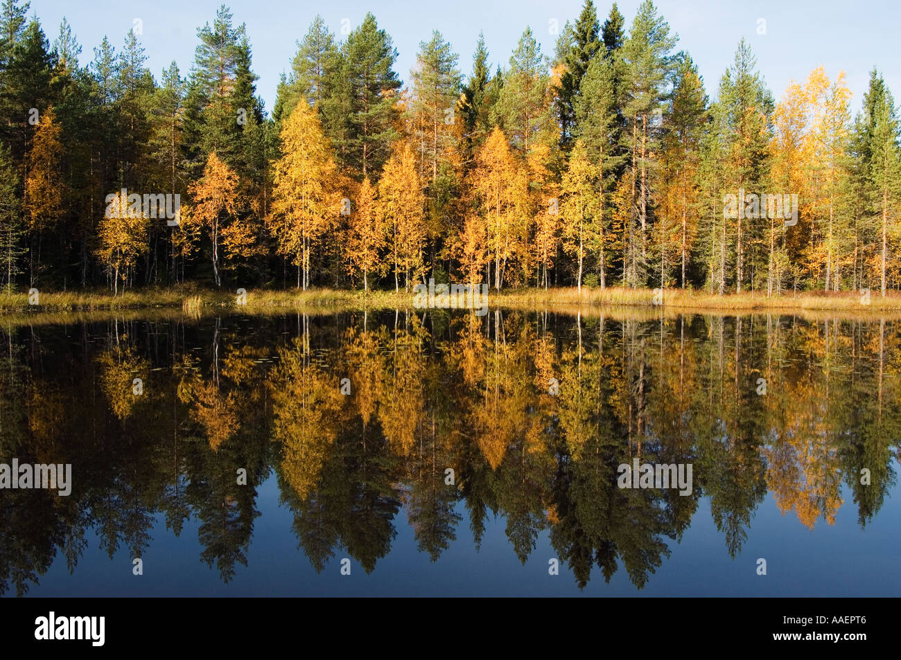 Thousand lakes hi-res stock photography and images - Alamy