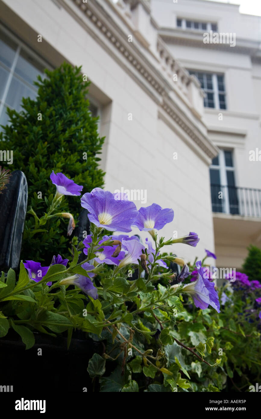 Townhouse in Wilton Crescent Belgravia exclusive area of London SW1 ...