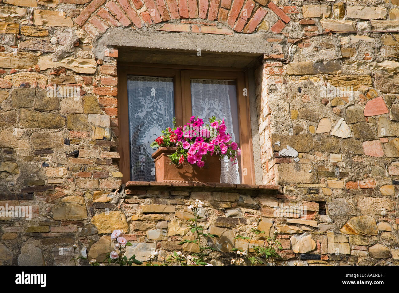Converted Historical Italian Arched Window; Floral wall Window box with ...