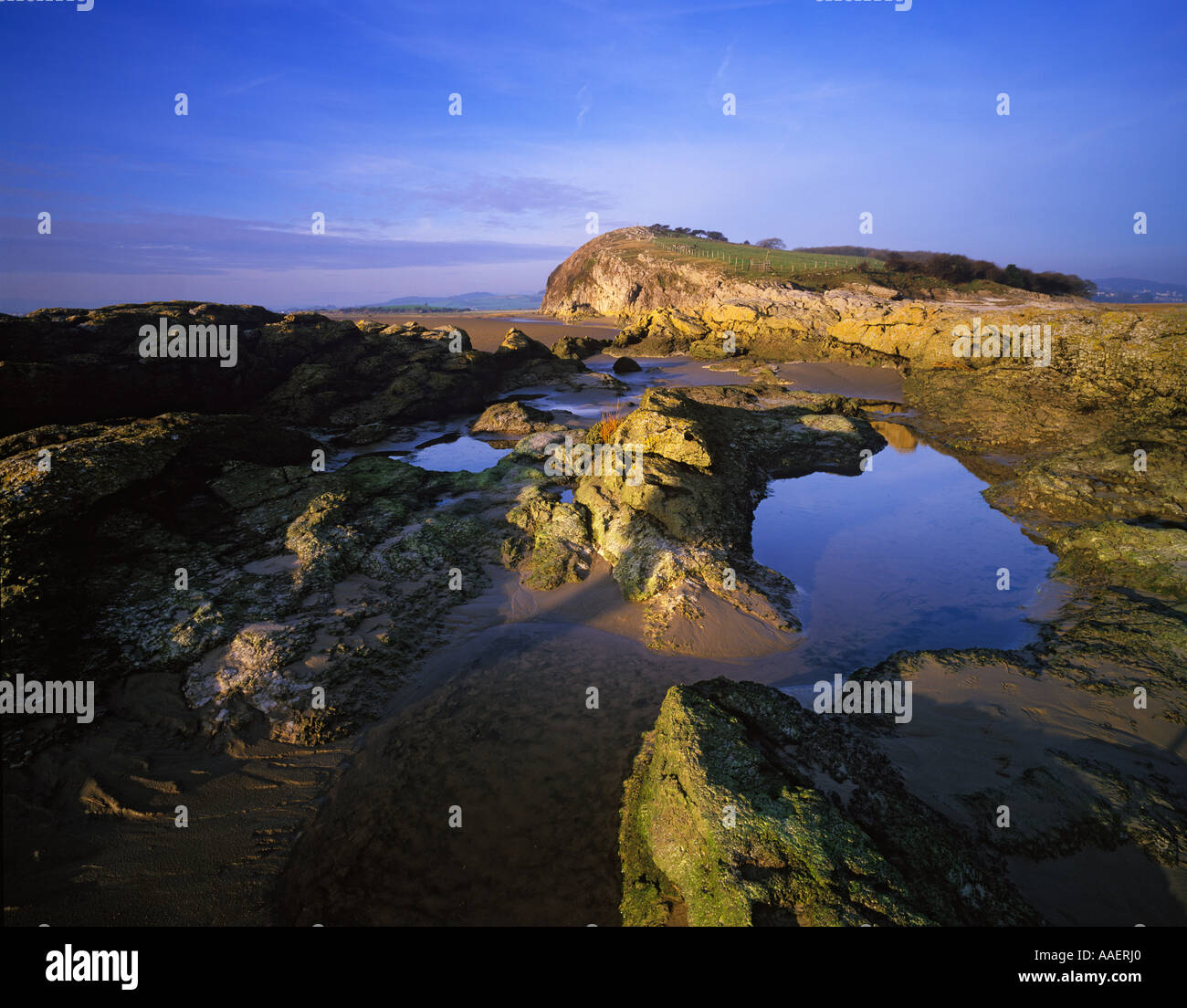 Humphrey Head on Morecambe Bay Cumbria Stock Photo - Alamy