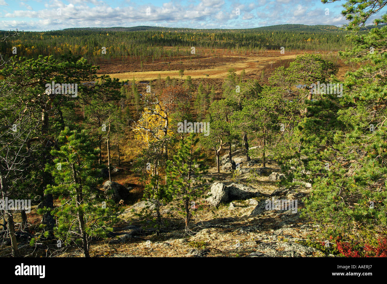 Lapland autumn ruska finland hi-res stock photography and images - Alamy