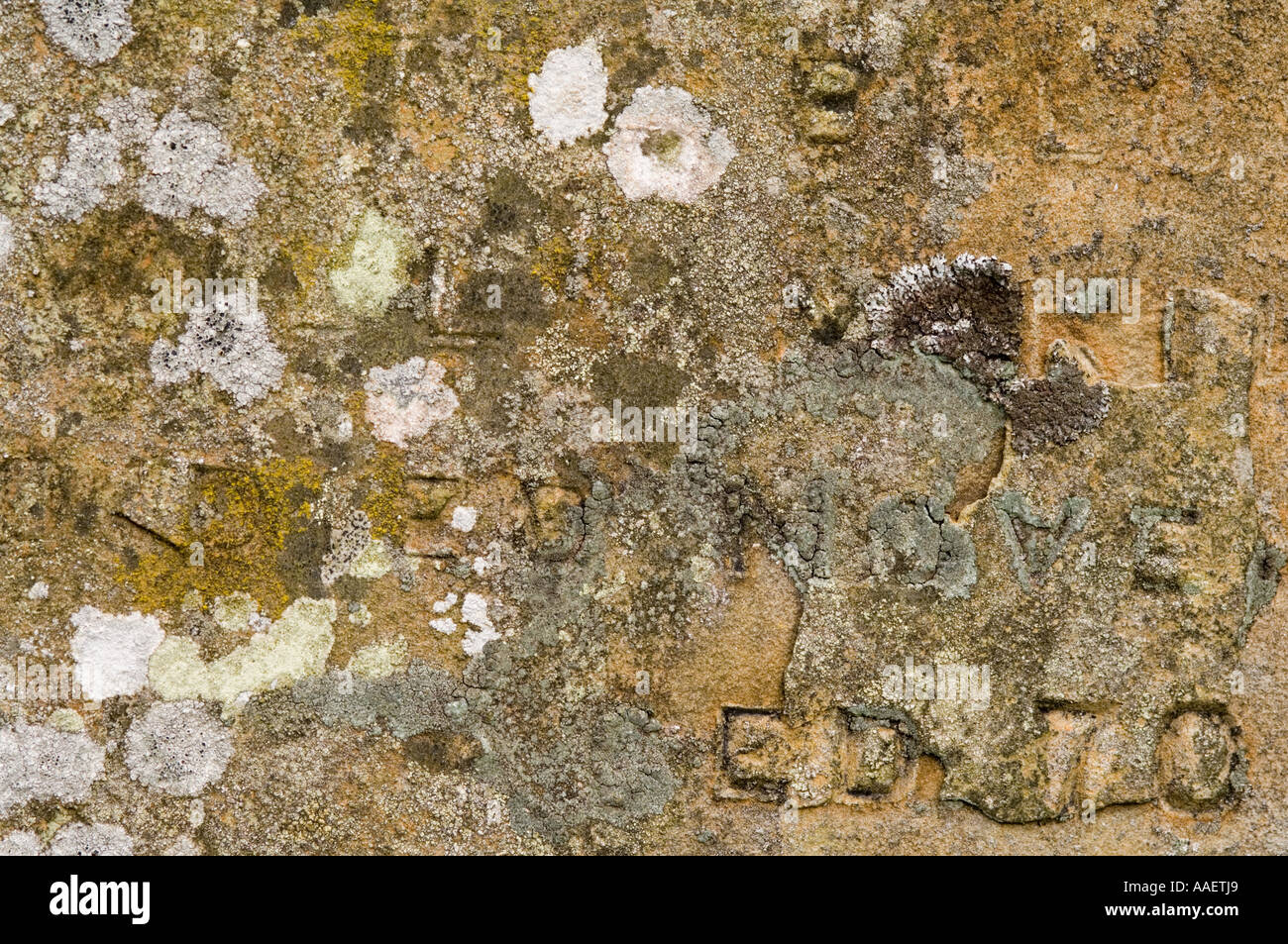 Mucher hi-res stock photography and images - Alamy