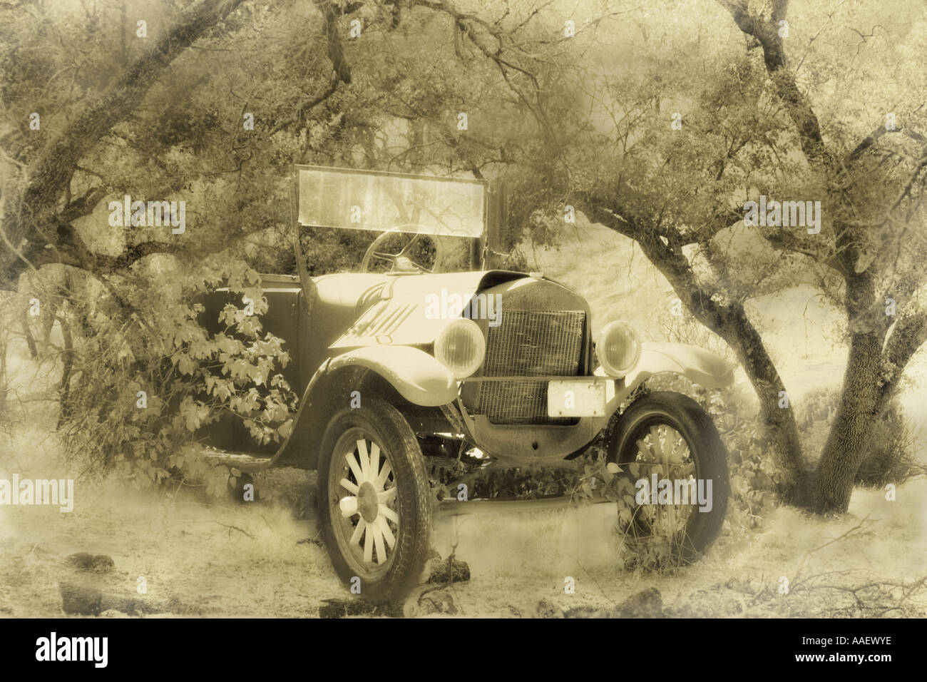 Tinted photograph hi-res stock photography and images - Alamy