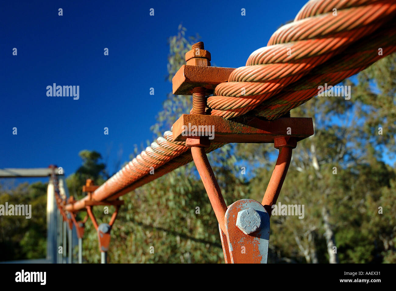 Suspension bridge cable Stock Photo - Alamy
