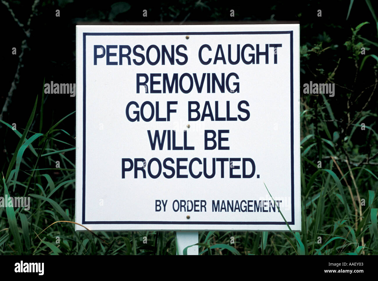 Bermuda Golf Ball Warning Sign humor Stock Photo - Alamy