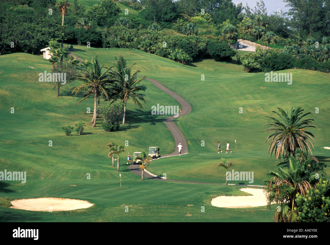 Bermuda Golf Course Fairmont Southampton Palm Trees Golf Cart Players ...