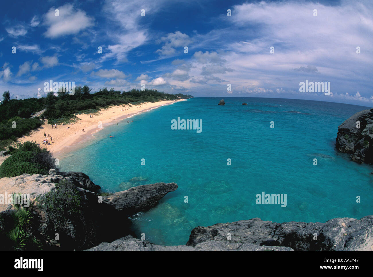 Bermuda Pink Sand Beach Waves People Sunning Swimming Stock Photo - Alamy