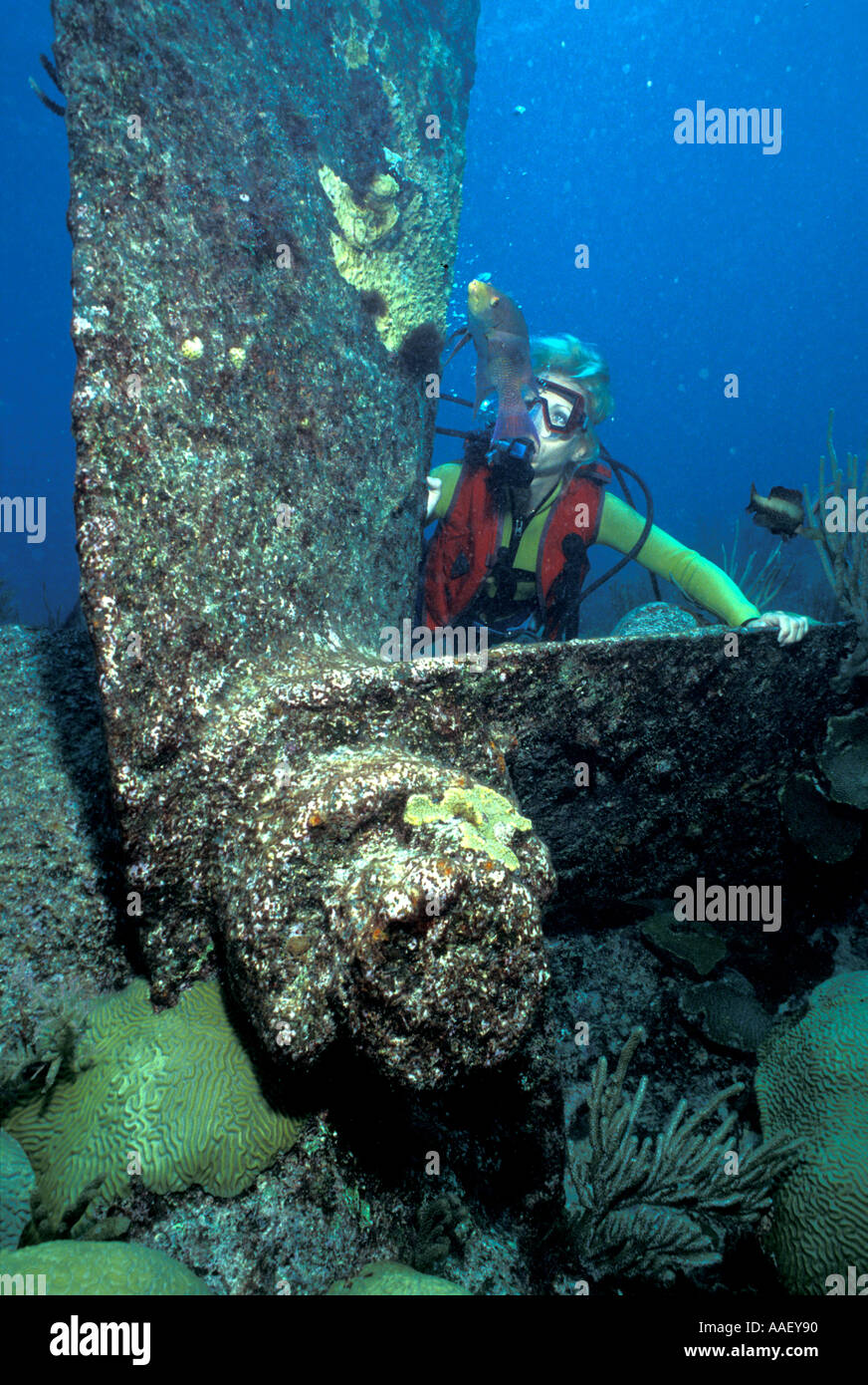 Bermuda Wreck Diving Diver beside propeller Mr 1 Stock Photo - Alamy