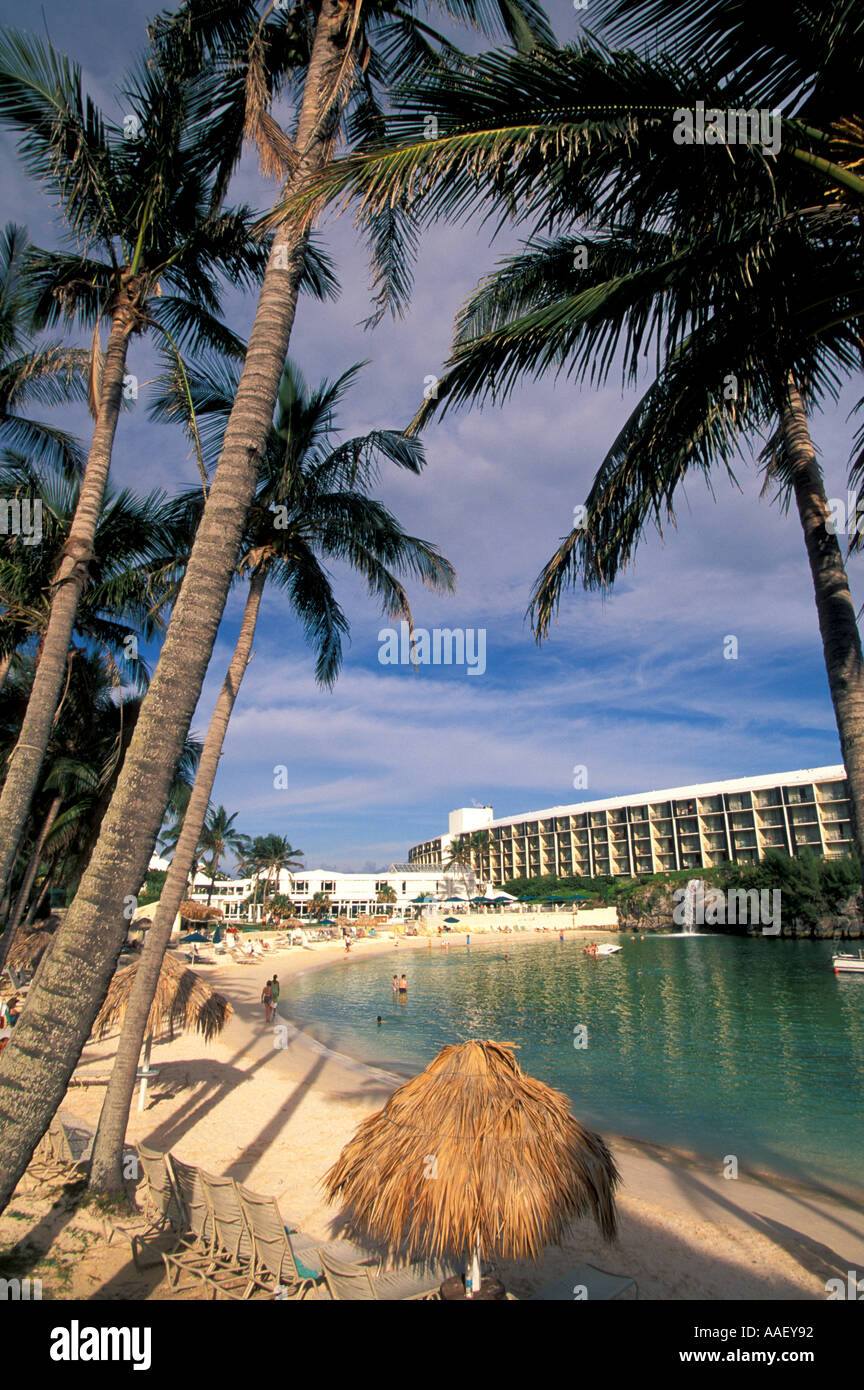 Bermuda Resort Palm Trees Beach Wyndham Bermuda Resort and Spa Stock ...