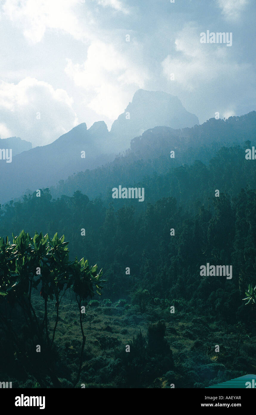 Mubuku Valley from Guy Yeoman Hut 3450 meters Ruwenzori Mountains ...