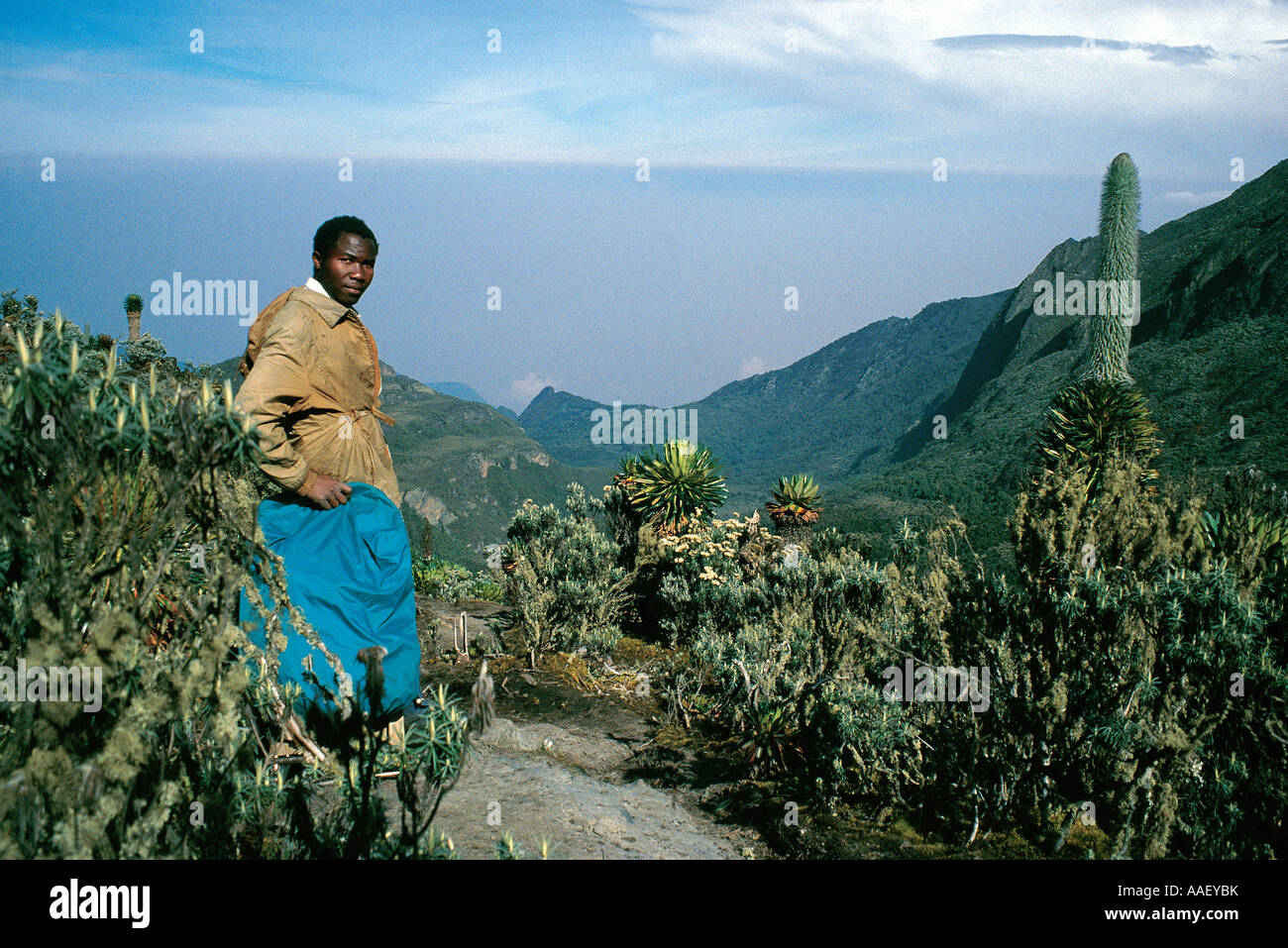 Trail guide Ruwenzori Mountains Uganda Zaire on horizon Stock Photo - Alamy