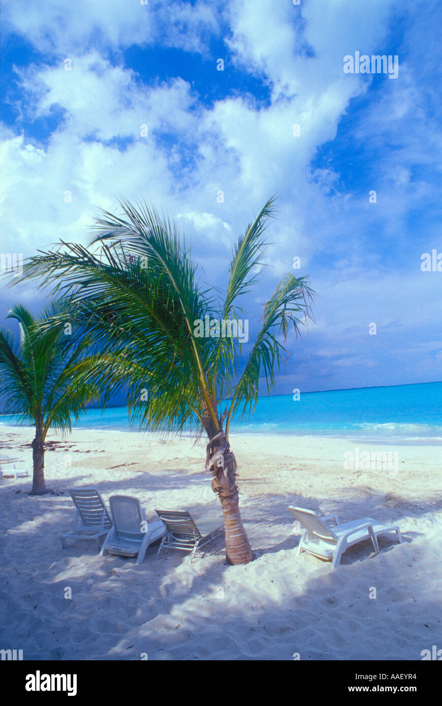 blue ocean in bahamas, sandy beach, chairs on beach, resort life ...