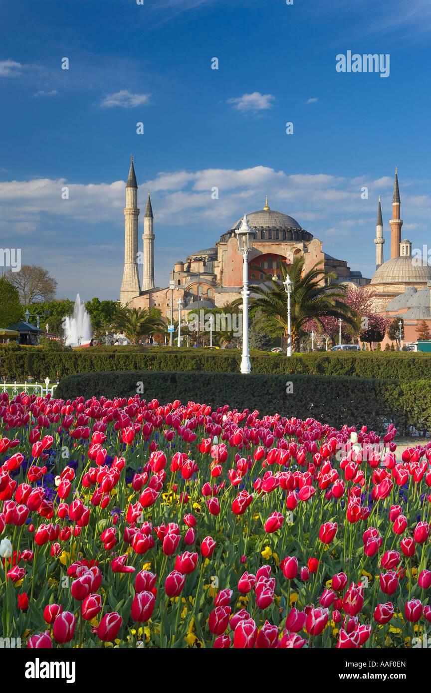 Istanbul flowers hi-res stock photography and images - Alamy