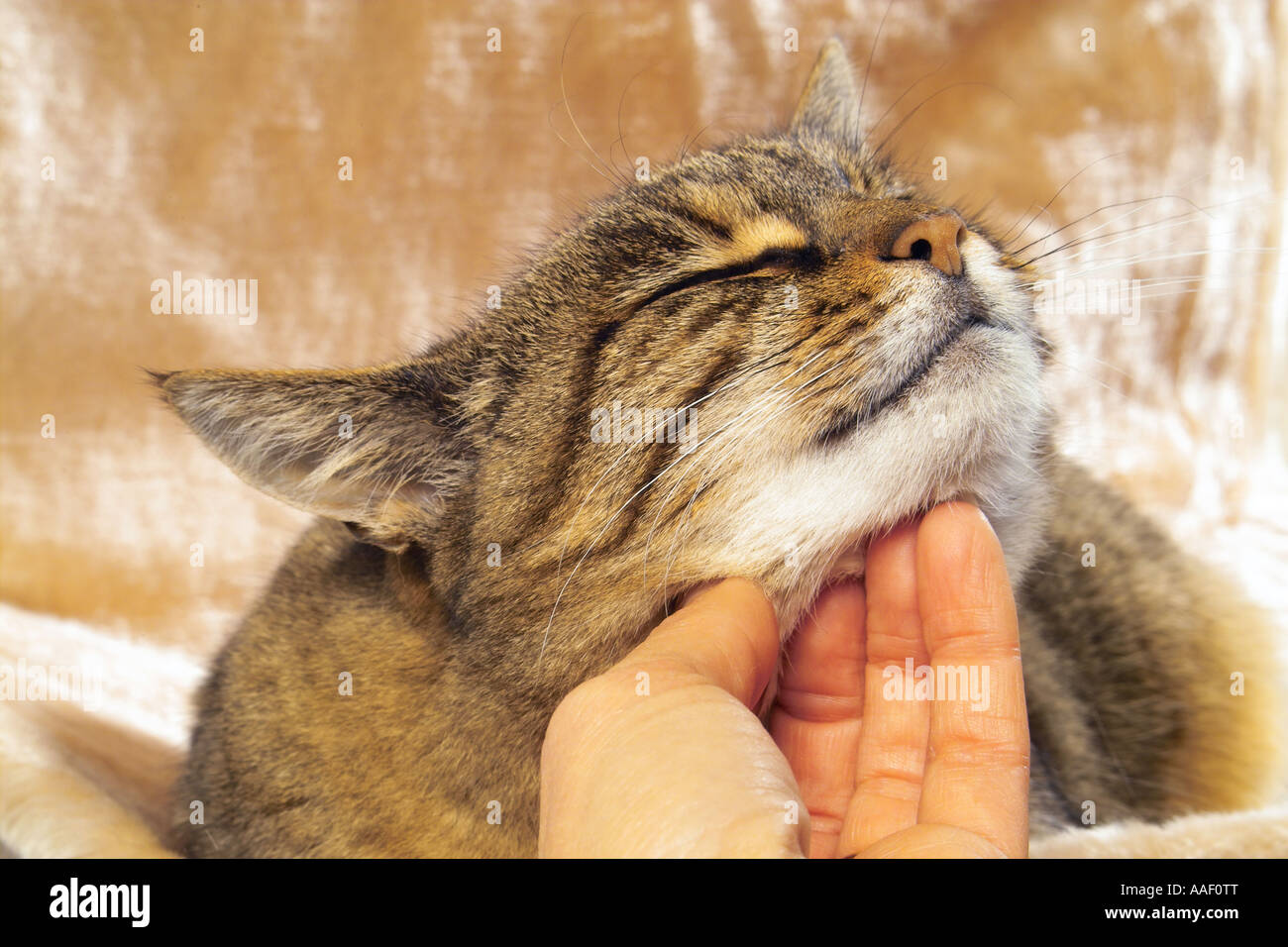 Crawled inside hi-res stock photography and images - Alamy