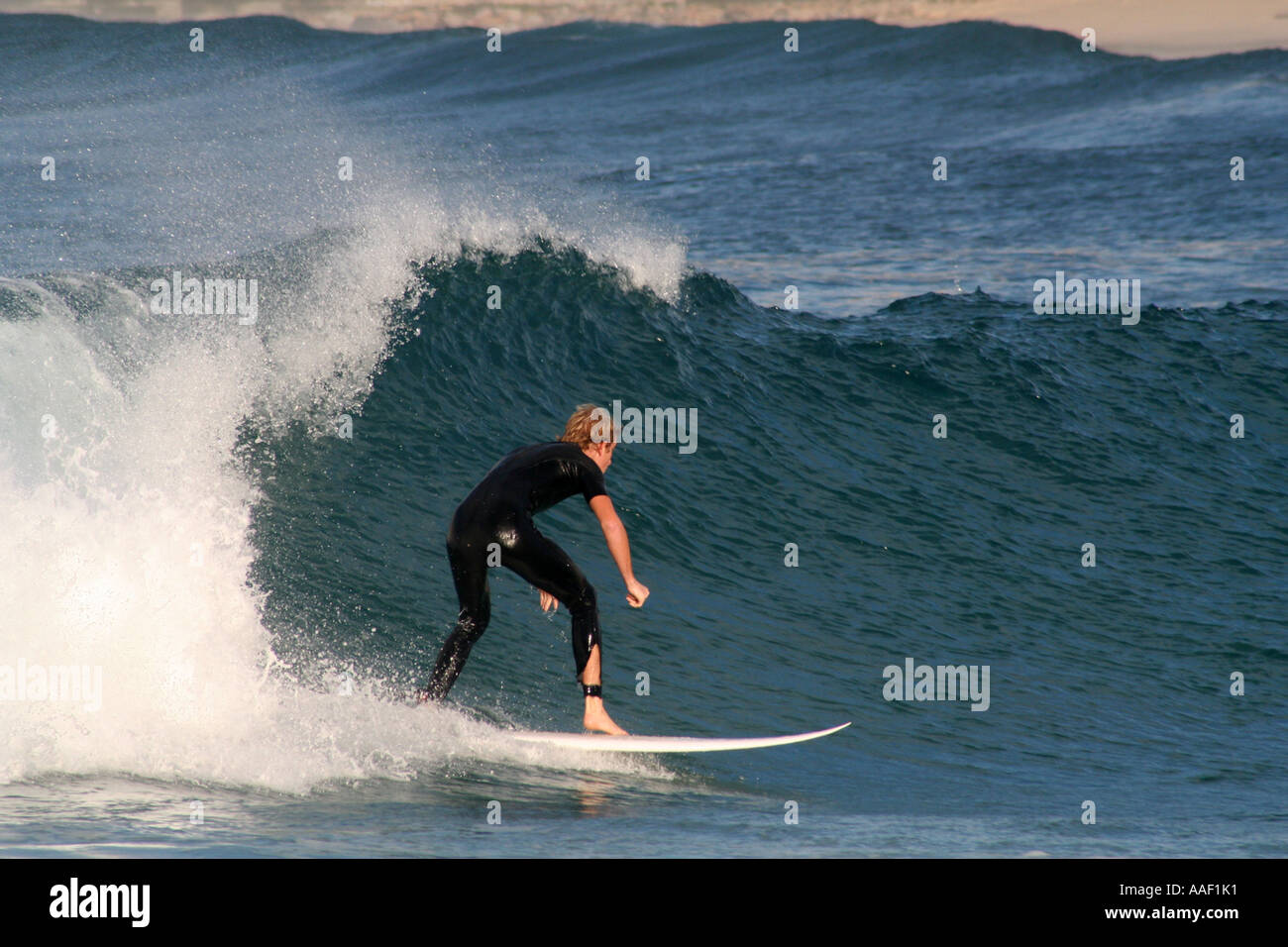 Surfing Bondi Beach Stock Photo - Alamy