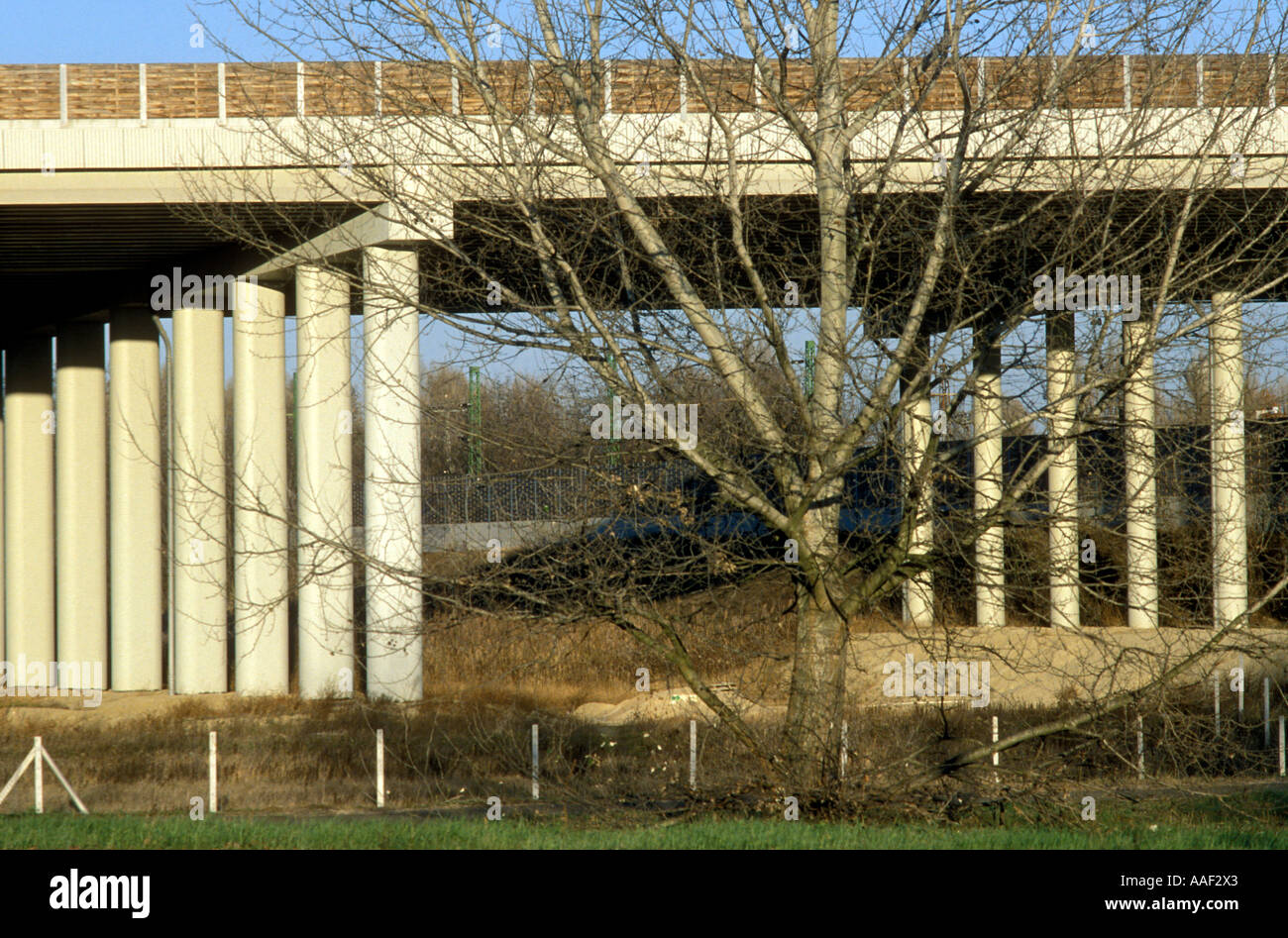 Overpass Columns and Perfect Tree Stock Photo - Alamy