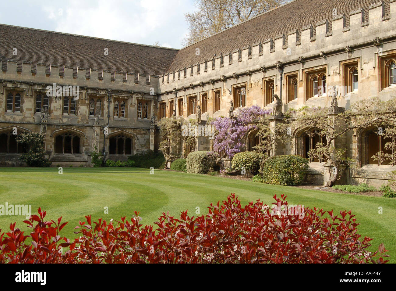 Cloisters magdalen college oxford university hi-res stock photography ...