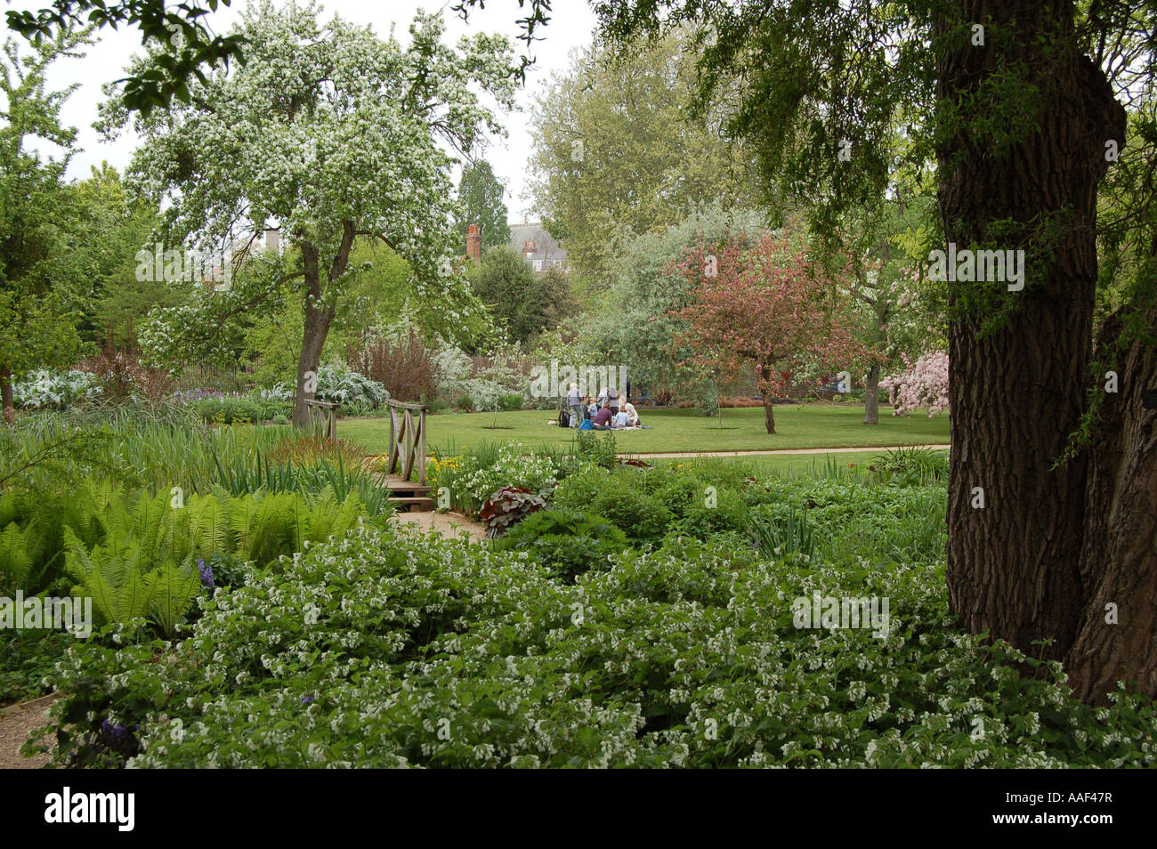 Springtime in the Oxford University Botanical Gardens Stock Photo - Alamy