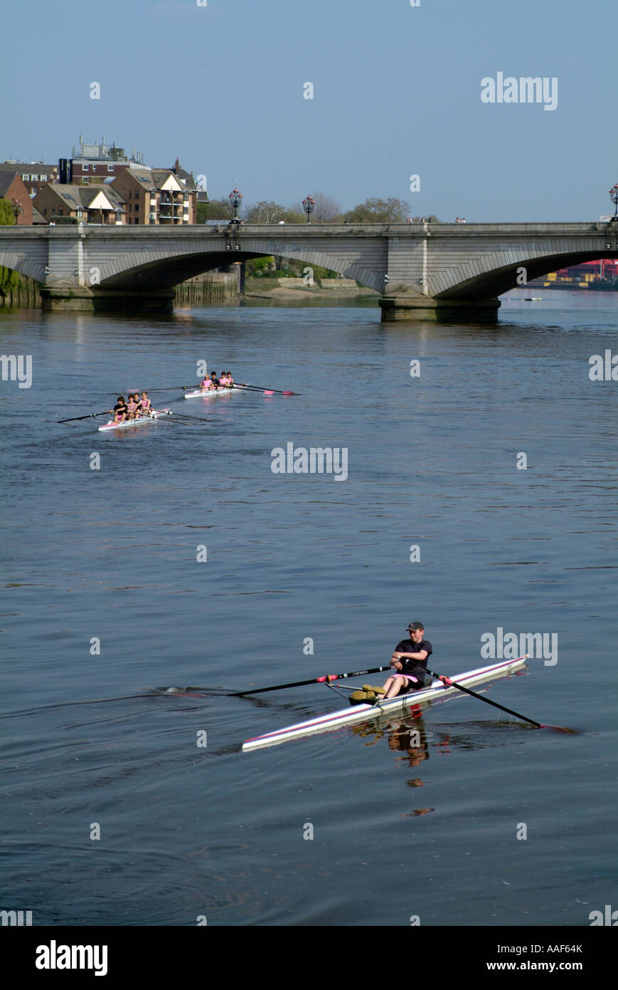 rowing on river Thames at Putney London UK Stock Photo - Alamy