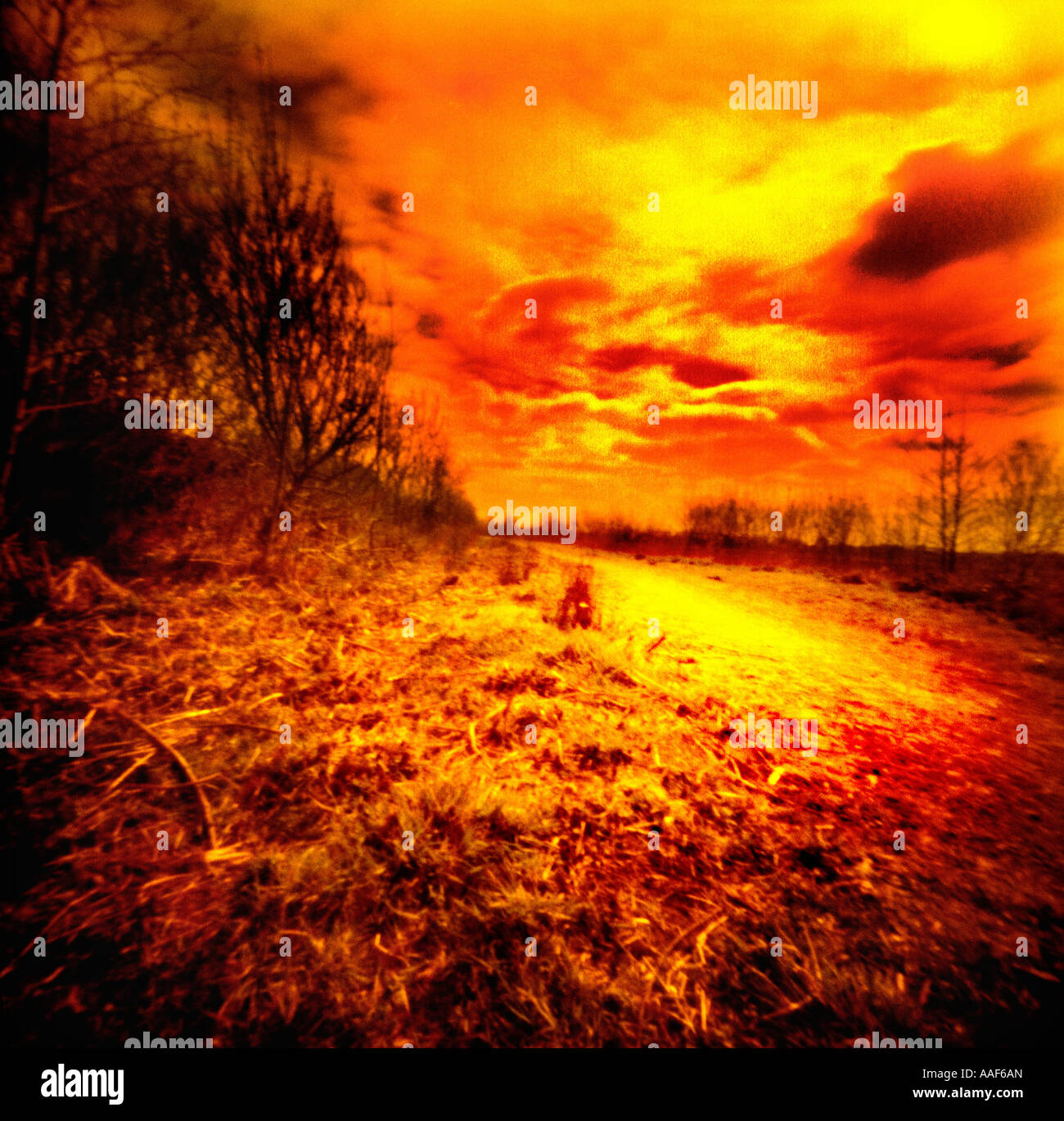 rural pathway broome norfolk Stock Photo - Alamy