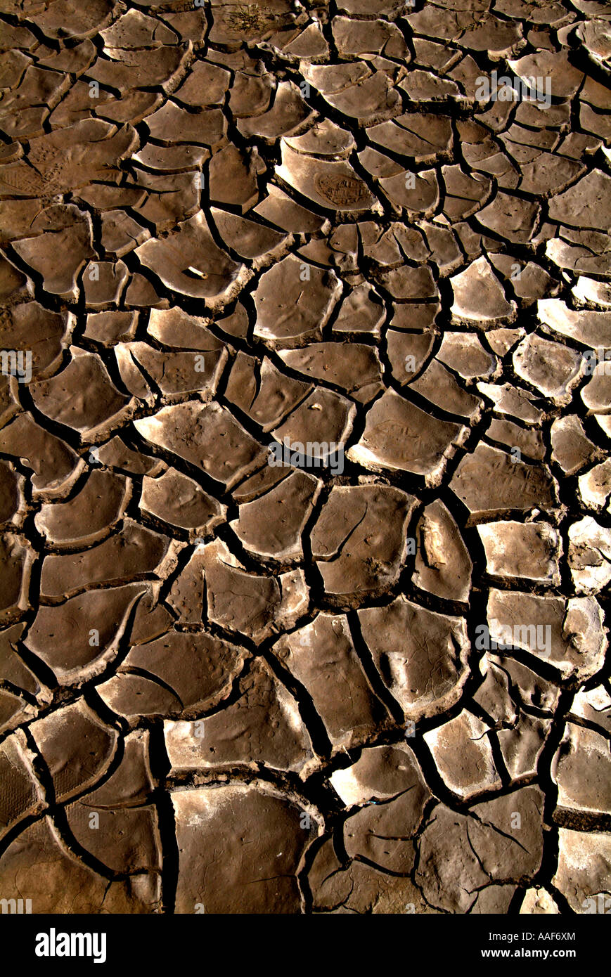 dried up river bed Stock Photo - Alamy