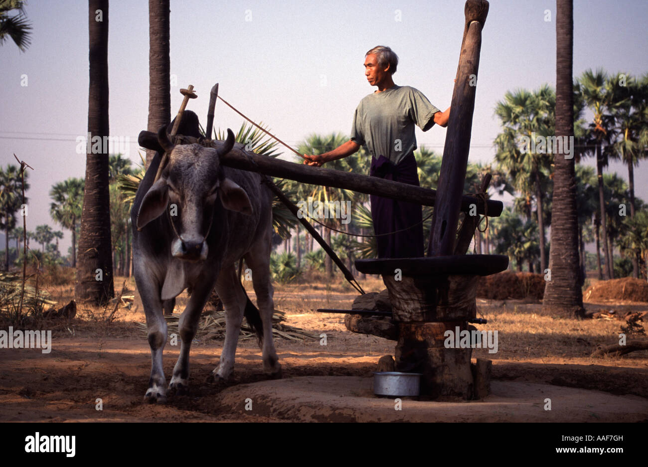 Myanmar activities hi-res stock photography and images - Alamy
