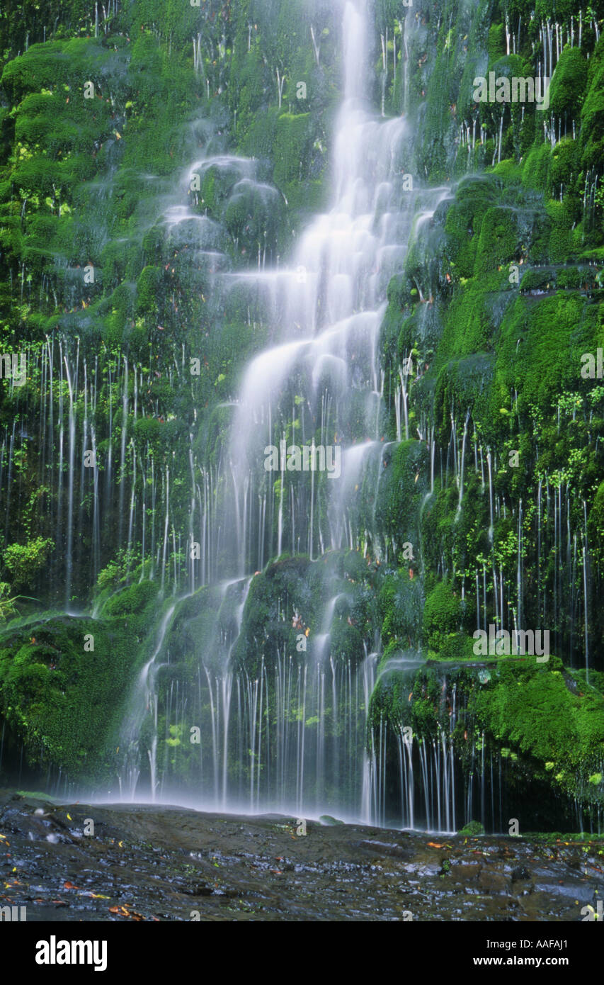 Angahook hi-res stock photography and images - Alamy