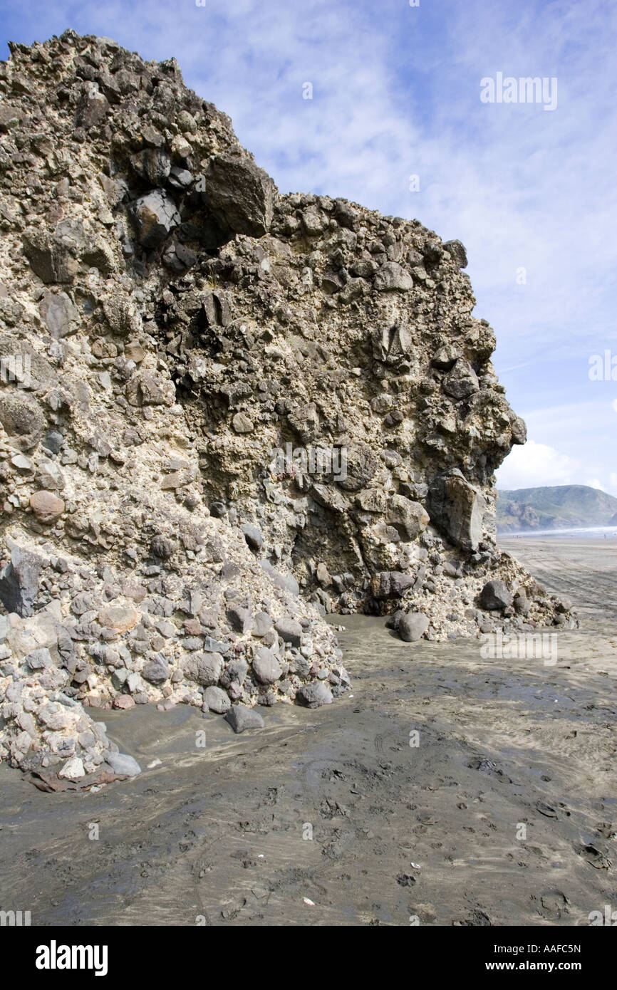 Conglomerate rock outcrops Tiha beach Waitaki Waitakere Ranges Auckland ...