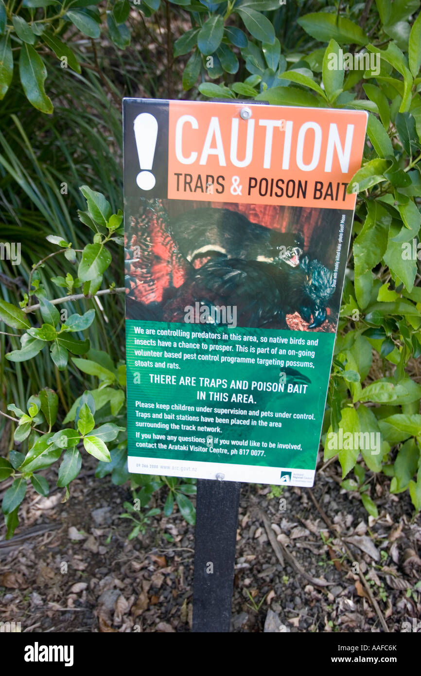 New zealand possum hi-res stock photography and images - Alamy