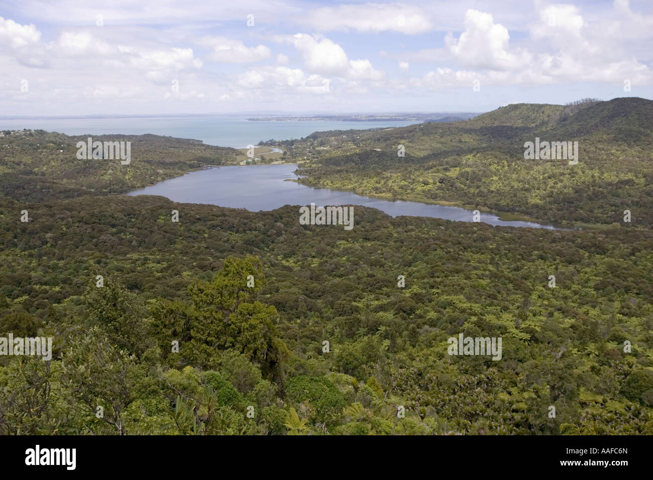 Views of regenerating native forest and distant Manukau harbour Arataki ...
