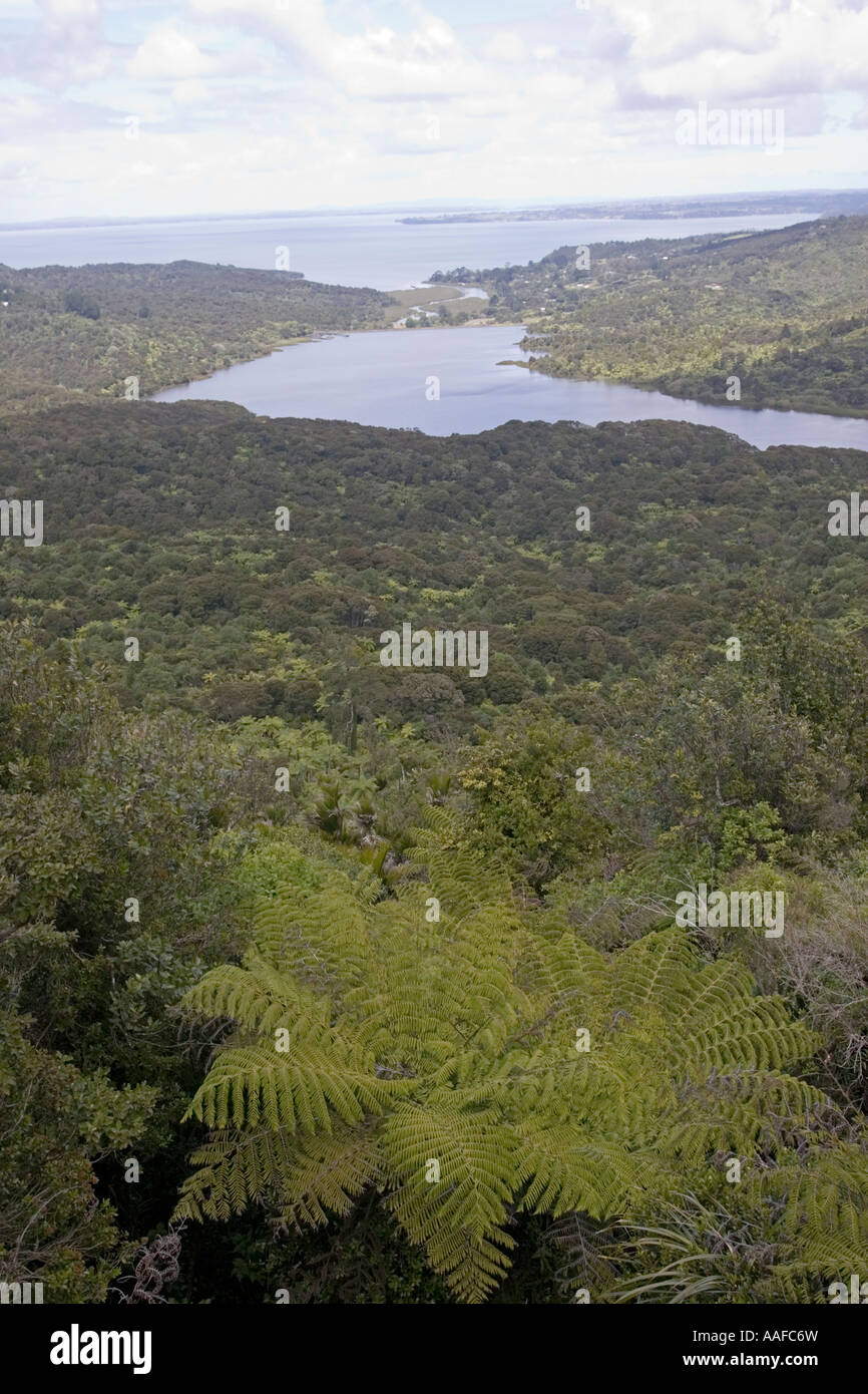 Views of regenerating native forest and distant Manukau harbour Arataki ...