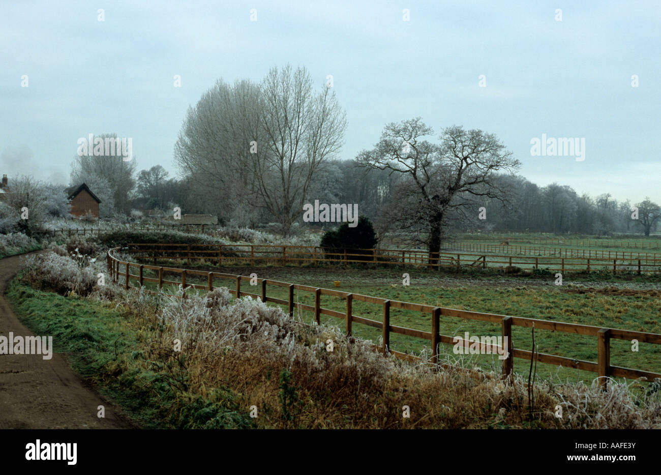 Farm Track At Henstead in winter in Suffolk Uk Stock Photo - Alamy