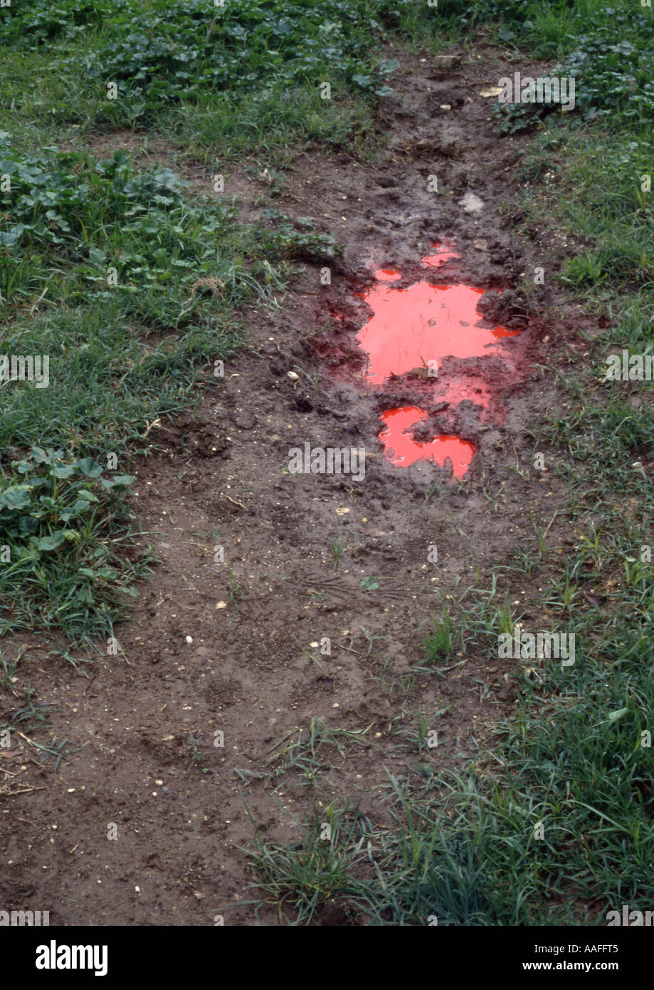 pool of red paint in field Stock Photo - Alamy