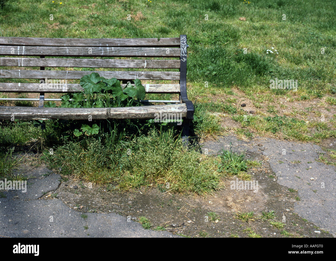 green plant growing through hole in old bench in park Stock Photo - Alamy