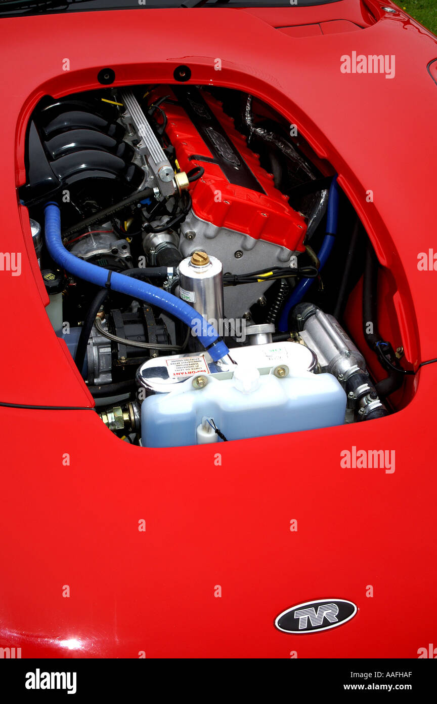 Tvr Sagaris Engine
