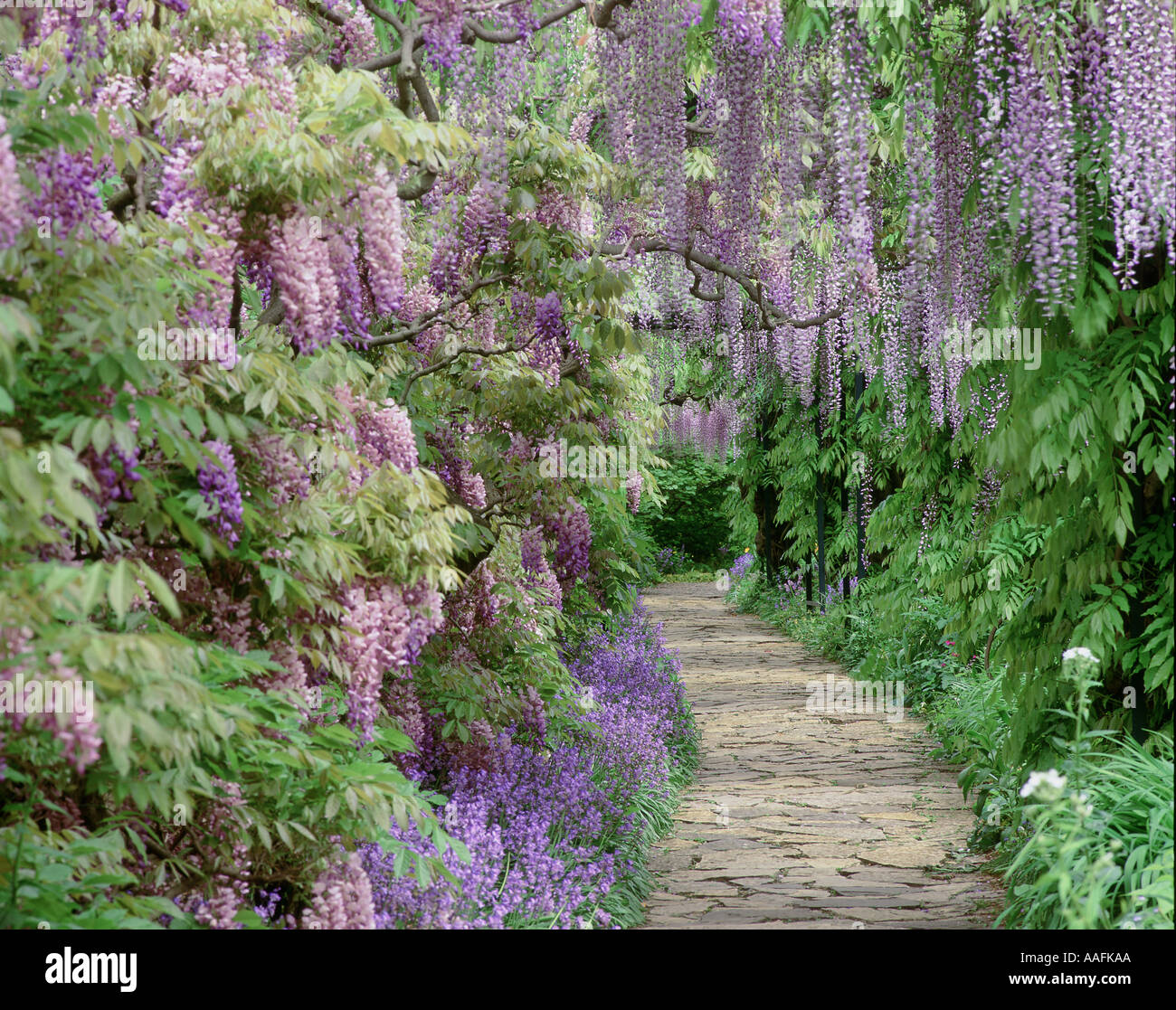 Pergola path hi-res stock photography and images - Alamy