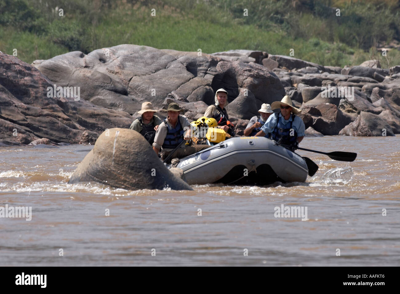 People white water rafting on Blue Nile river in inflatable boats Stock ...