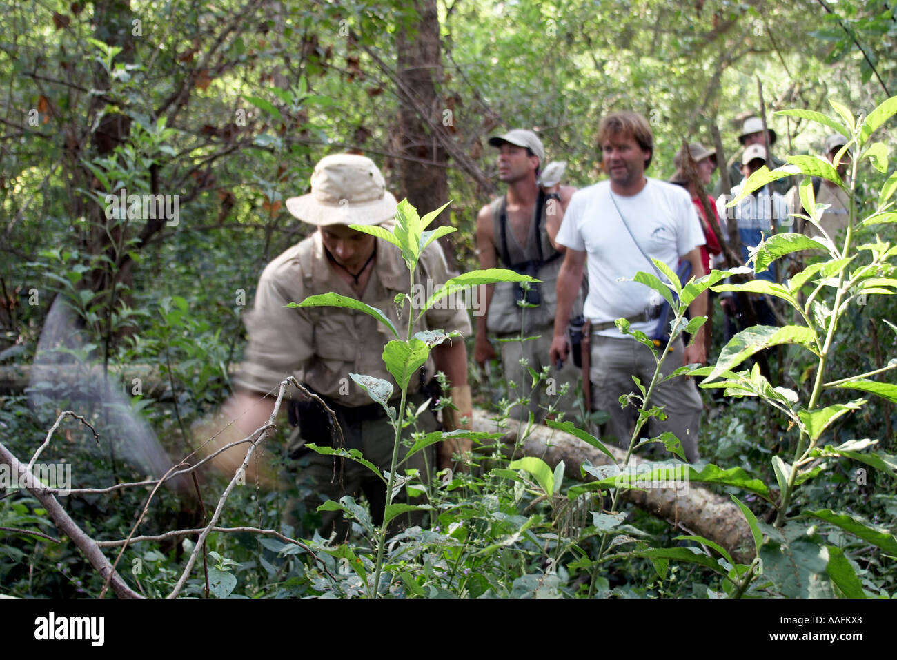 Wildlife and mammal survey by people exploring in the bush near Korka ...
