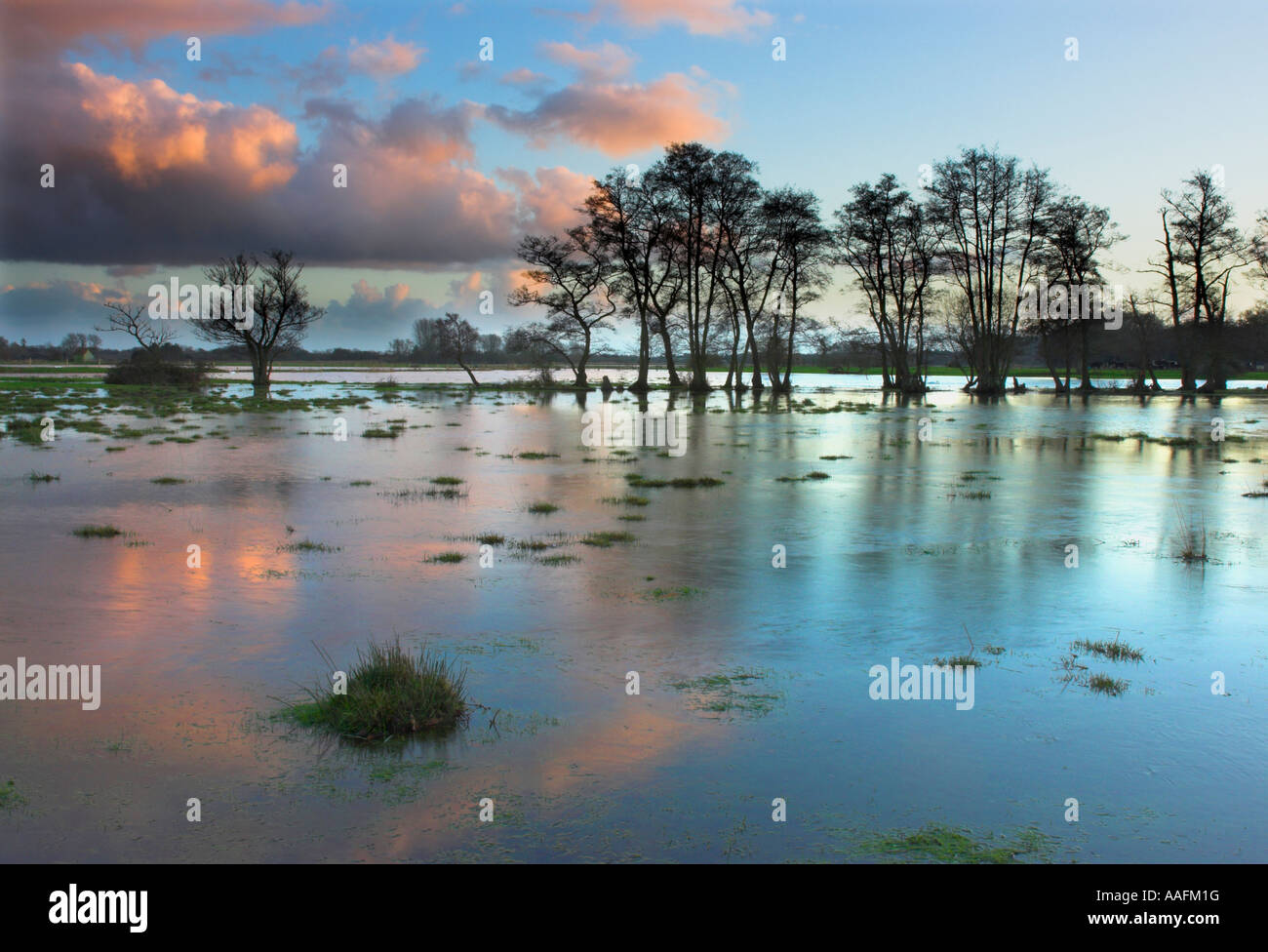 Sopley High Resolution Stock Photography and Images - Alamy