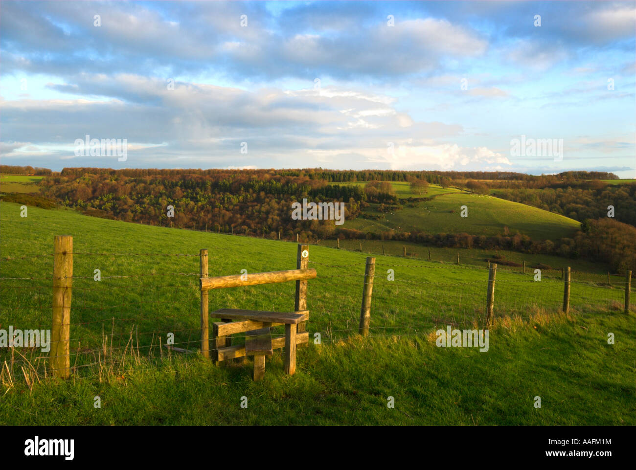 Fontmell High Resolution Stock Photography and Images - Alamy
