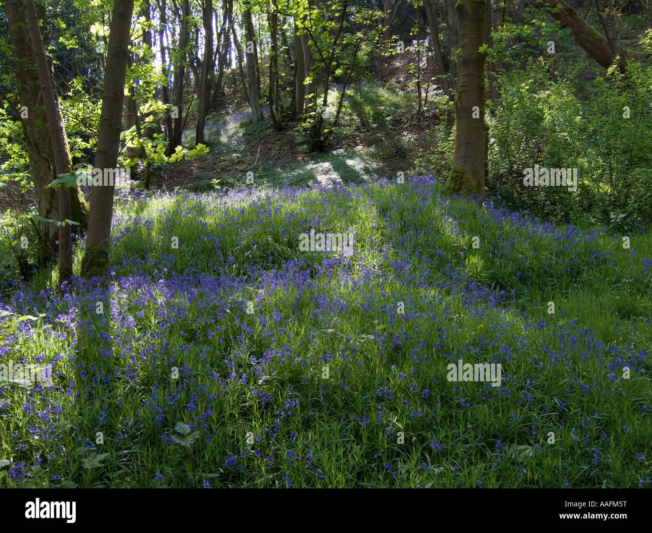 Broadbottom hi-res stock photography and images - Alamy