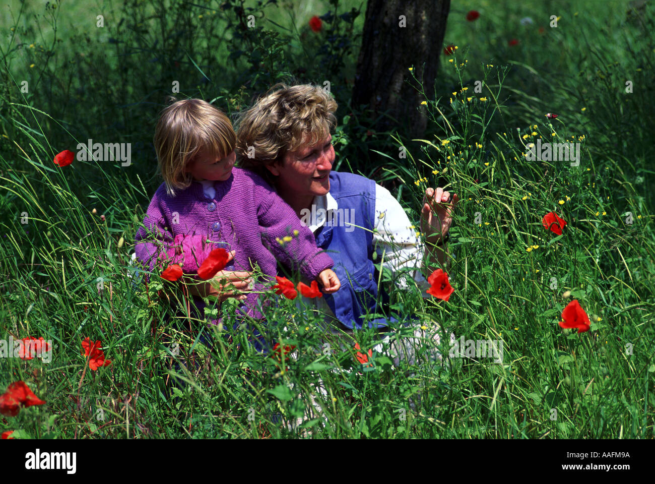 mother and child with poppies Stock Photo - Alamy