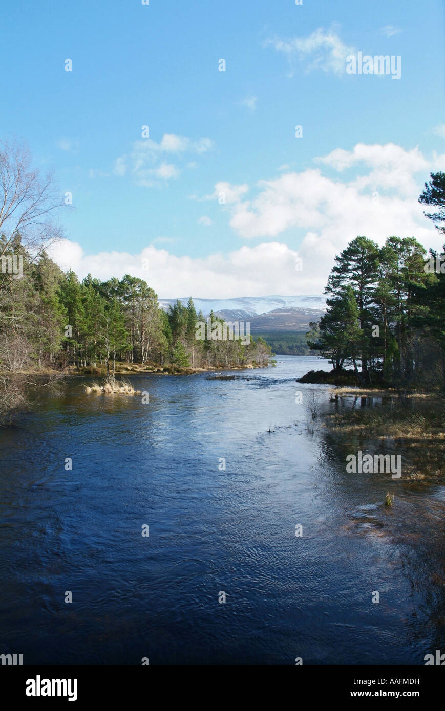 Loch Morlich taken from the foot bridge Stock Photo - Alamy