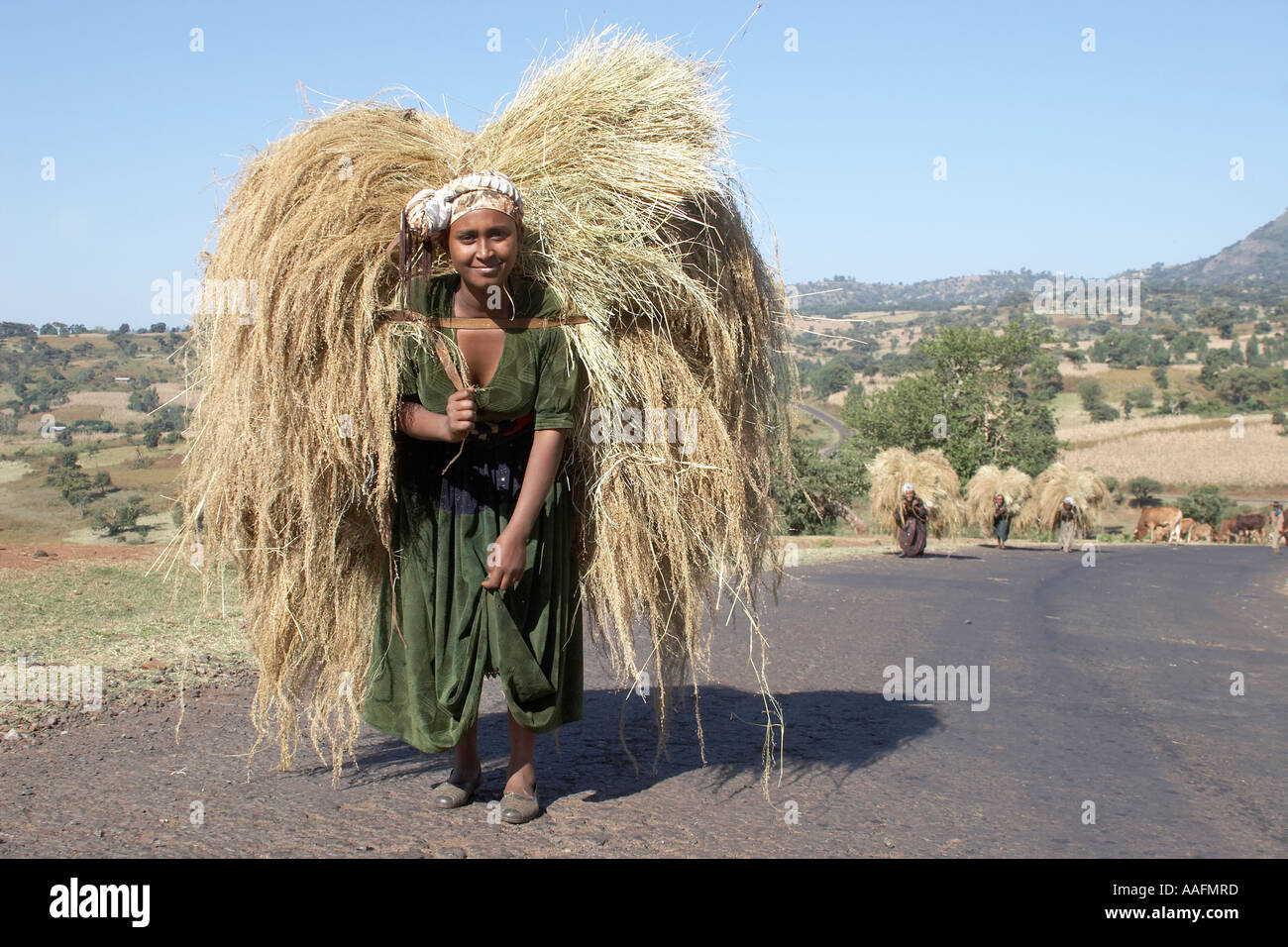 Woman walking on a road carrying heavy load of crops near Nekemte in ...