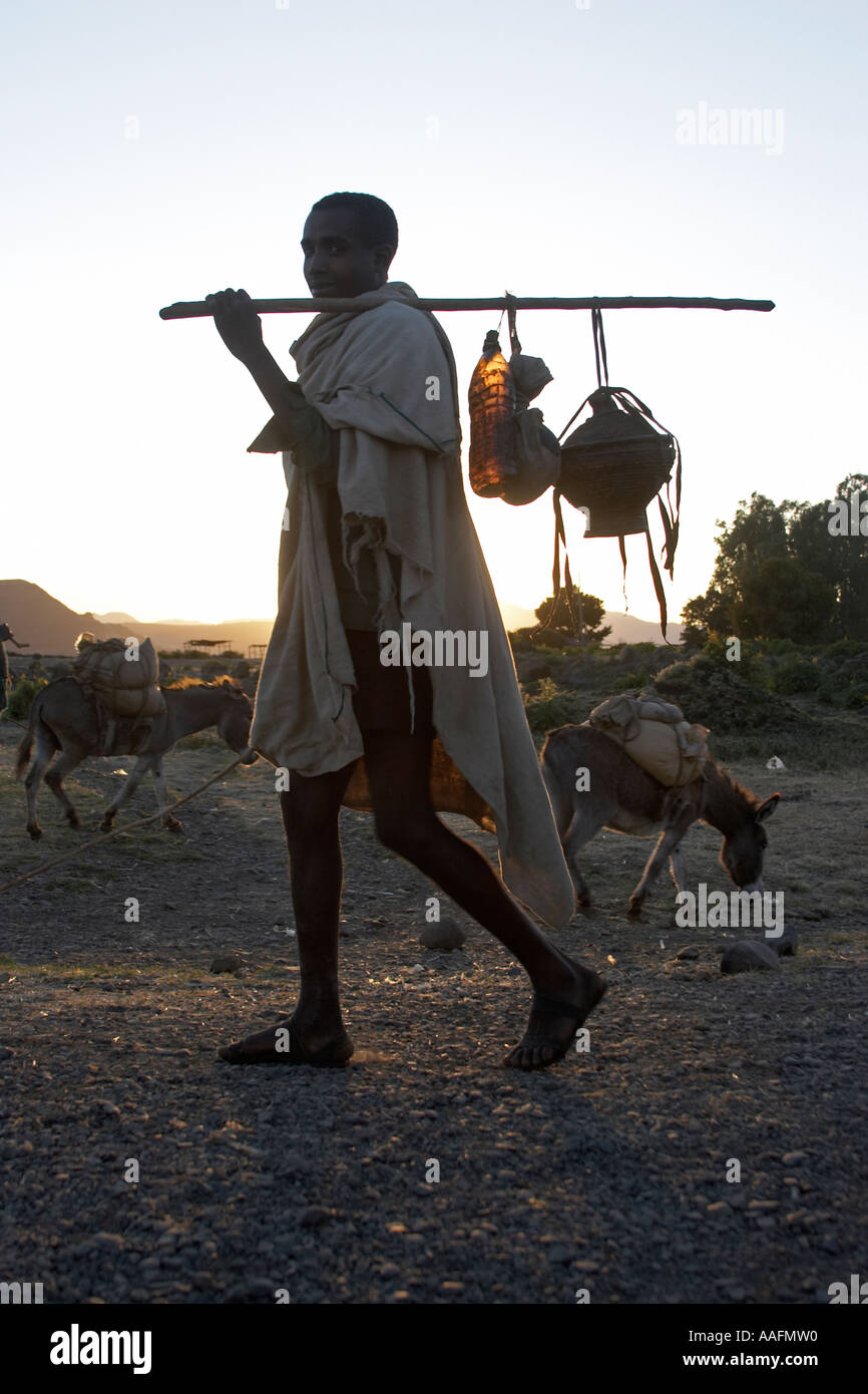 Man in silhouette carrying goods on a stick with donkeys near Bahir Dar ...