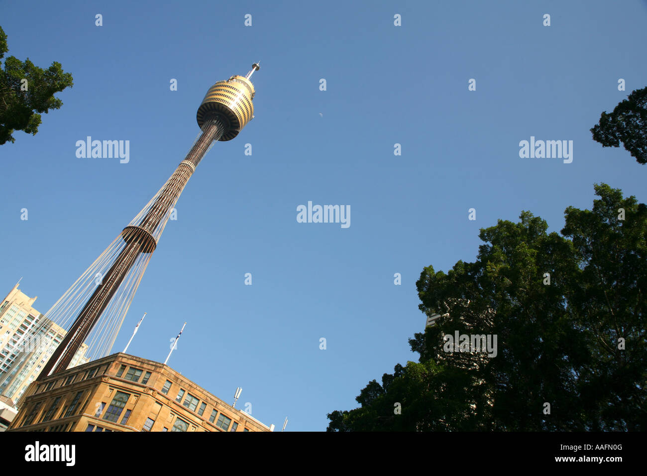 AMP Centrepoint Tower seen from Hyde Park, Sydney, Australia Stock ...